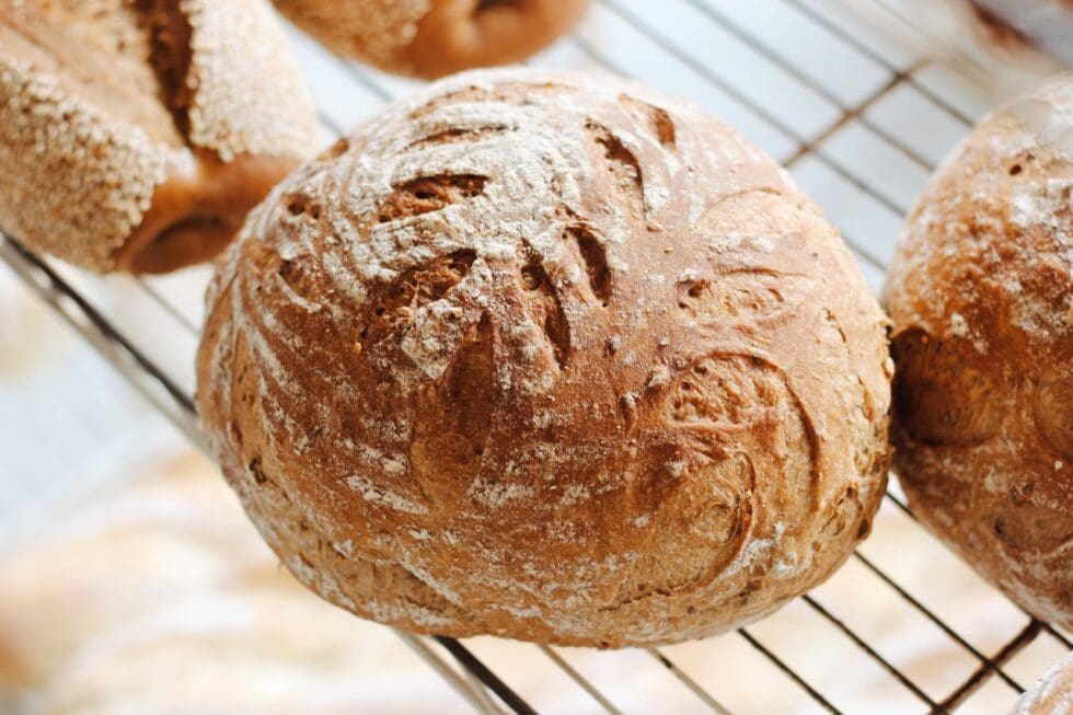 NCCFB Home Page | North County Community Food Bank